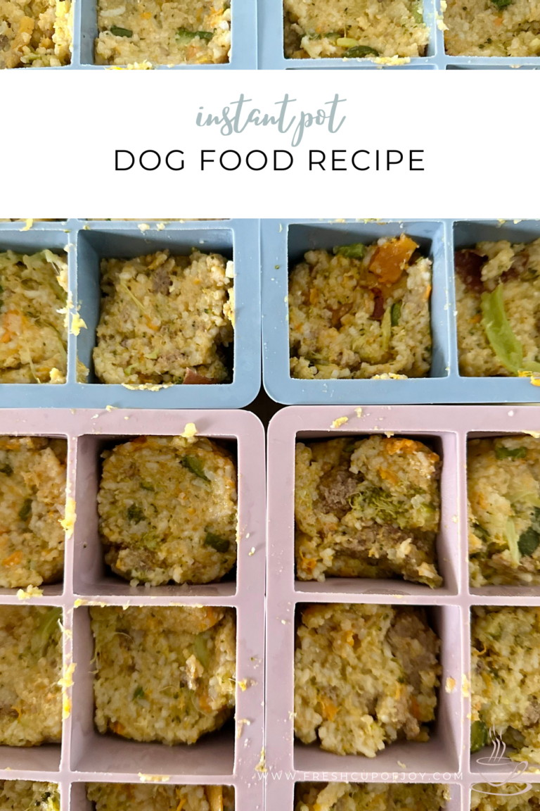 Homemade 20-minute Instant Pot Dog Food Recipe - Fresh Cup of Joy